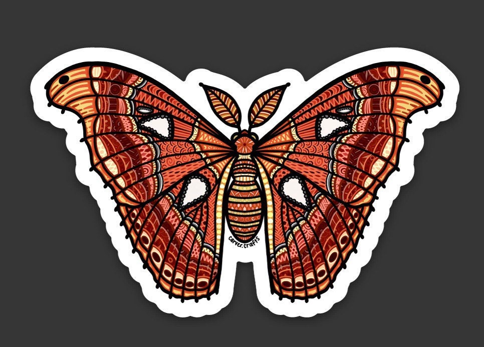 Atlas Moth Sticker - Etsy