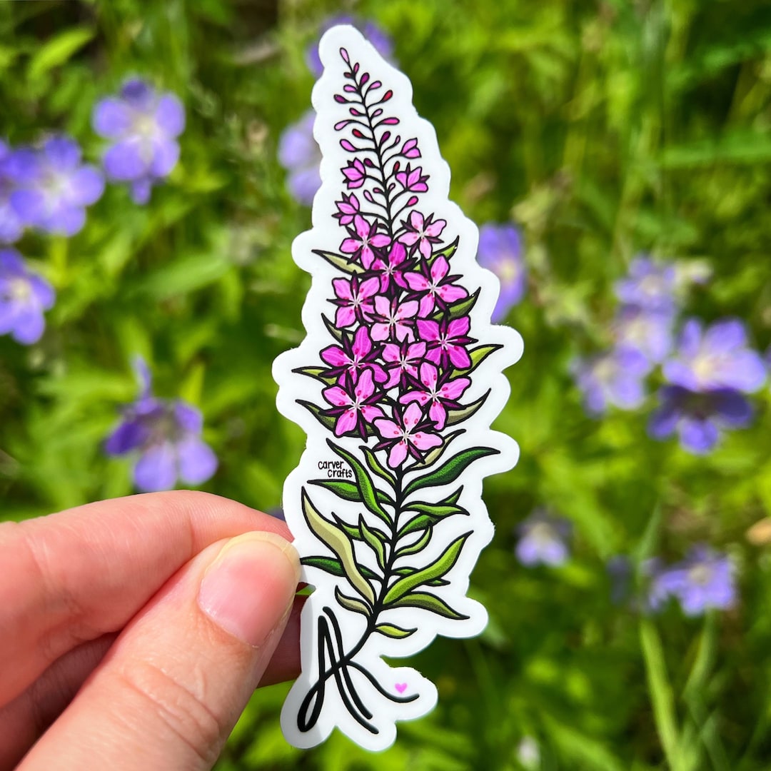 AK Fireweed Sticker - Etsy