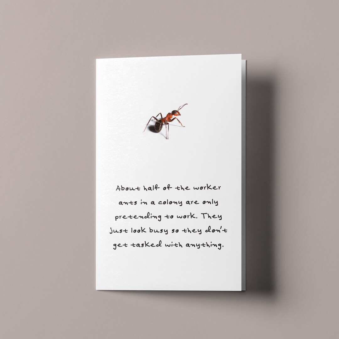 About Half of the Worker Ants Don't Actually Do Anything... - Humorous ...