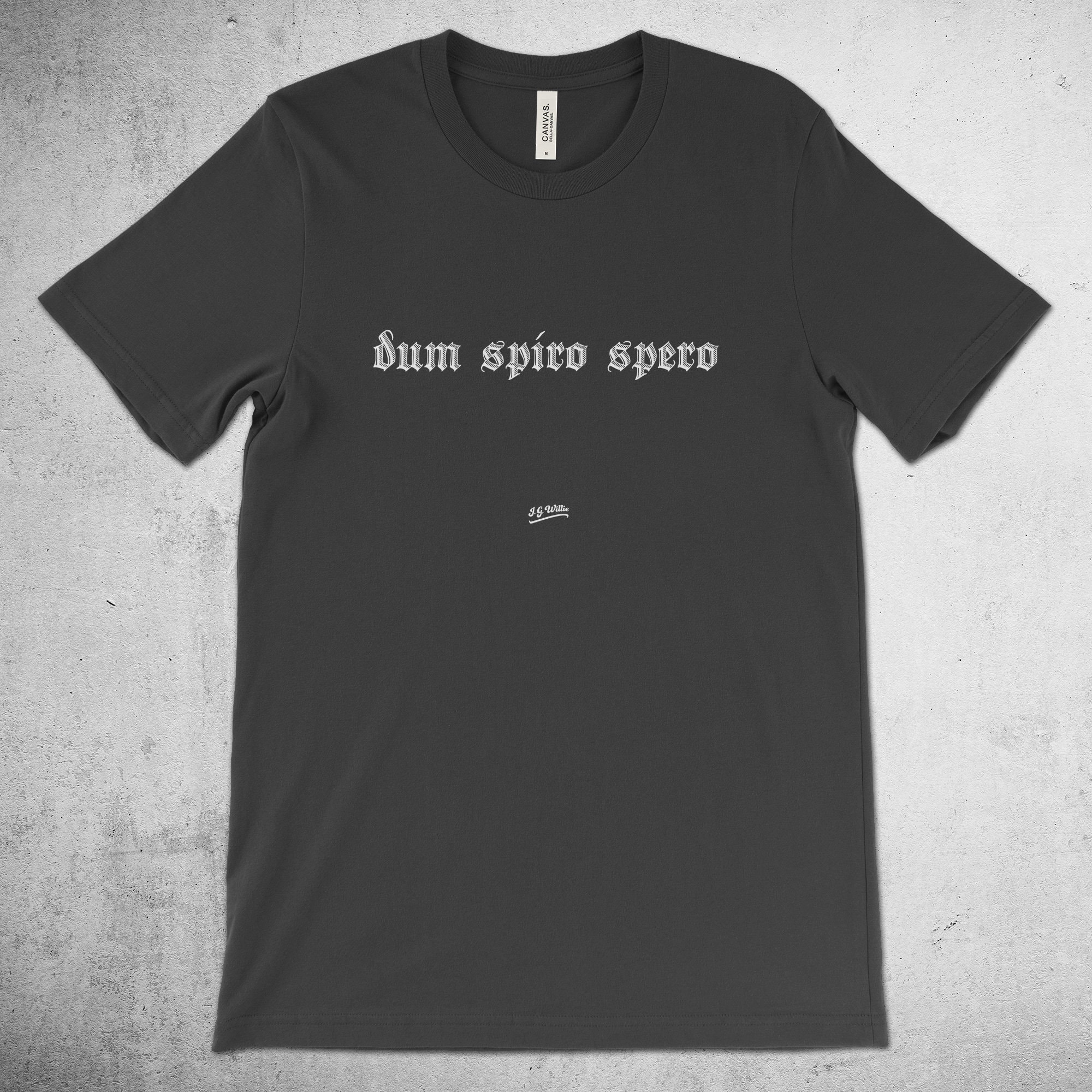 Dum Spiro Spero While I Breathe I Hope. South Carolina | Etsy