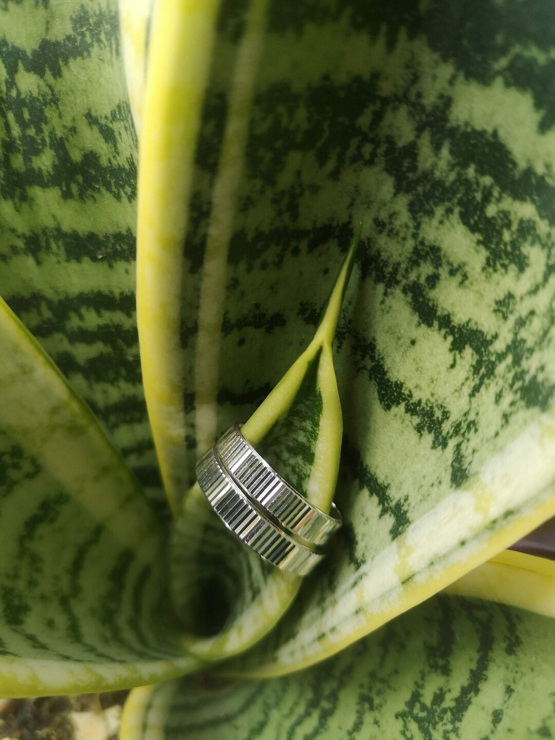 Ladder Inspired White Gold Ring/band(l) - Etsy