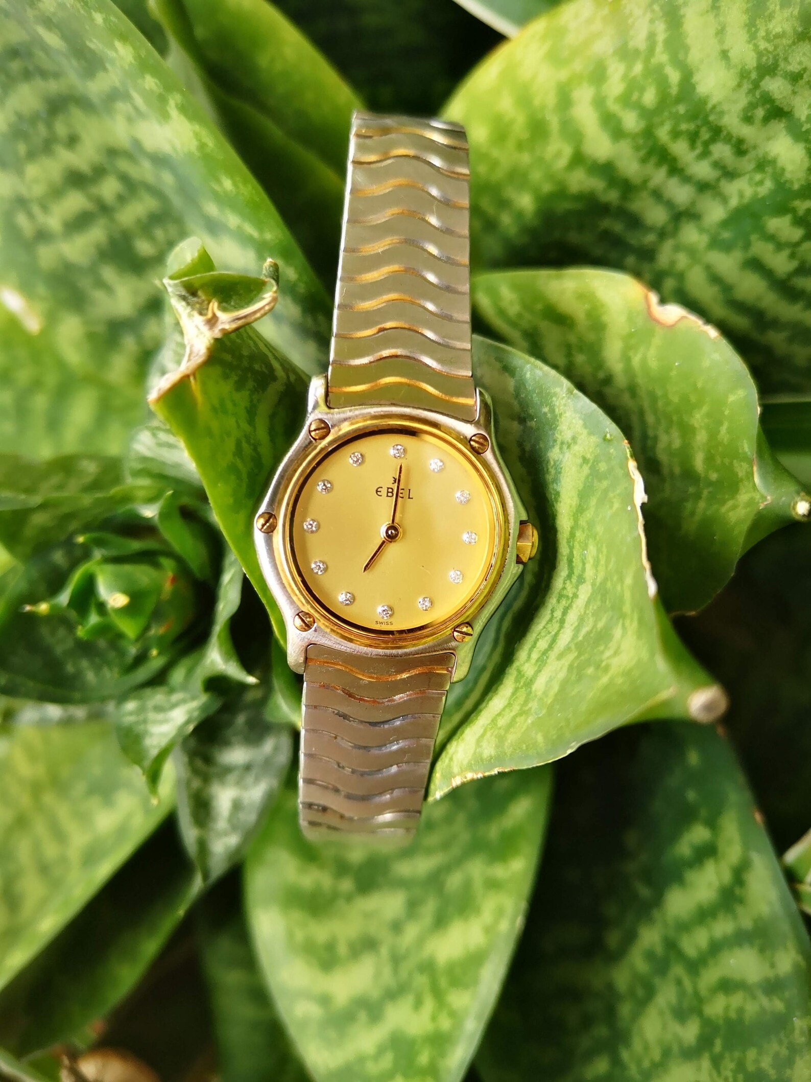 Vintage Ebel Gold Bezel Diamond Watch - Etsy