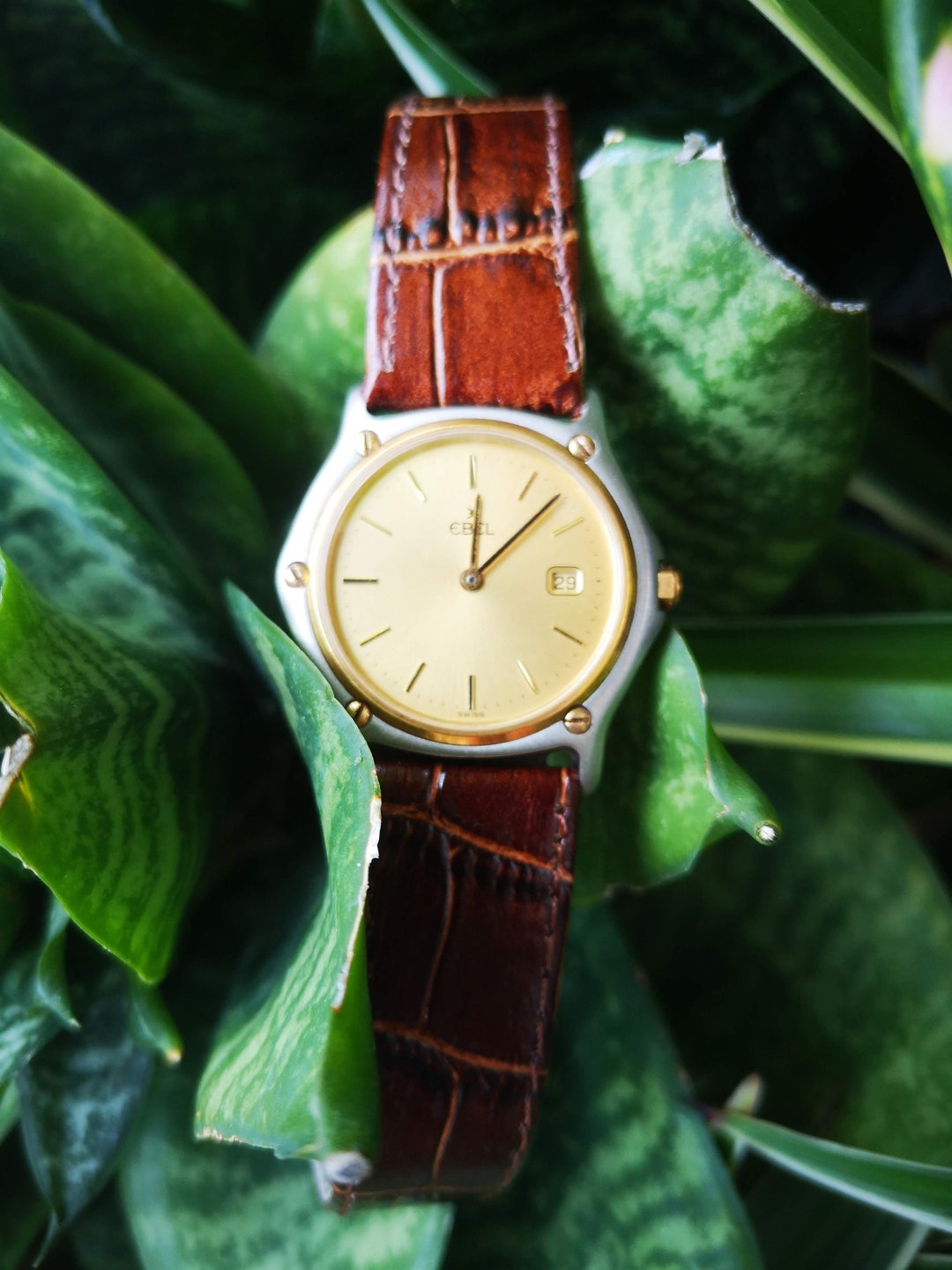 Vintage Ebel Watch - Etsy