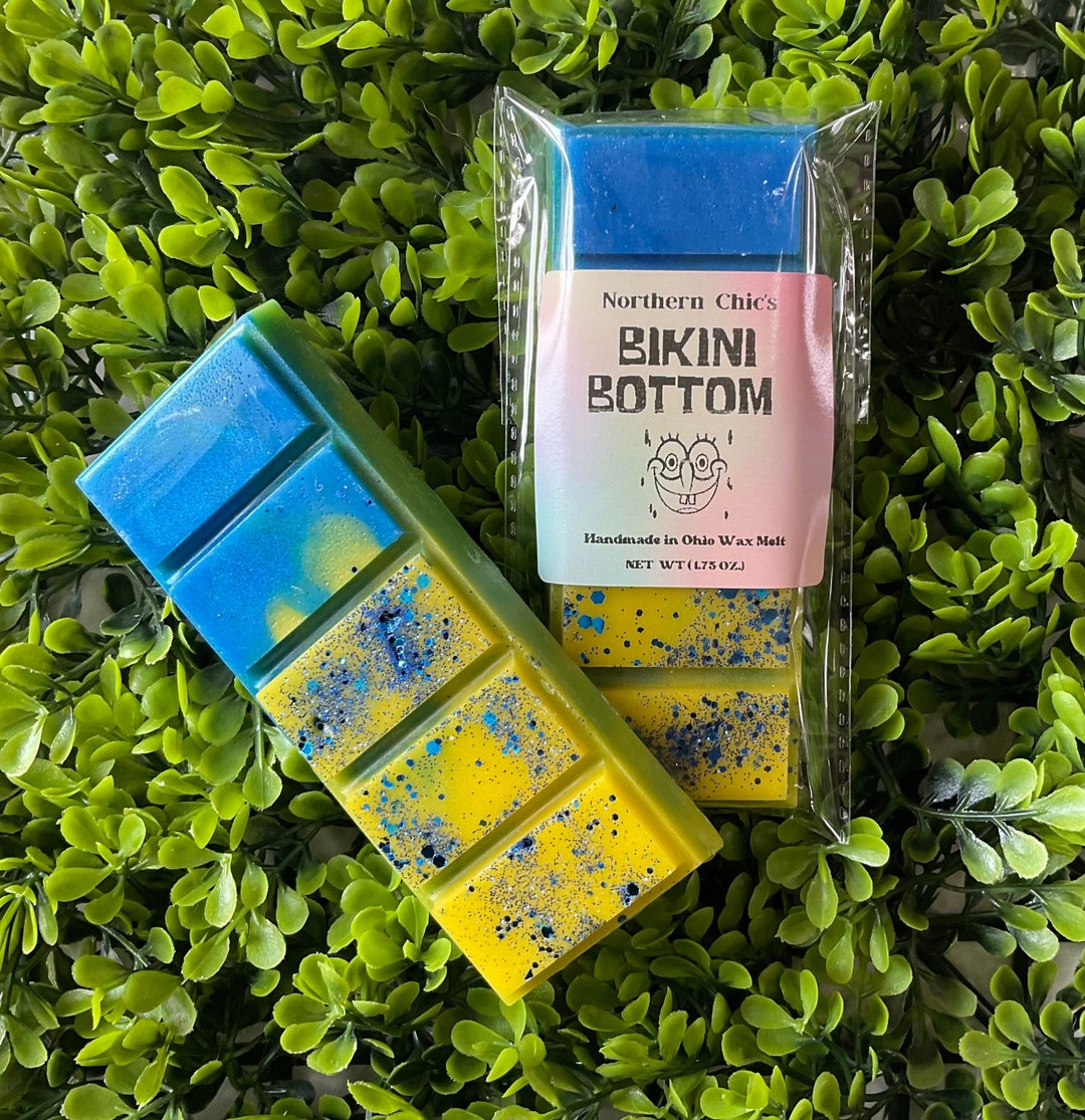 Bikini Bottom Wax Melts, Strong Scented Soy Wax, Fun Gift - Etsy