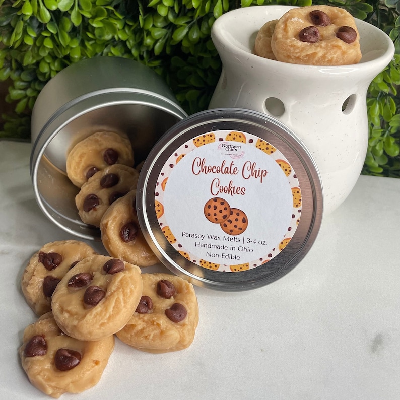 Chocolate Chip Mini Wax Melts, Sweet Scented Wax Melts, Food Shaped Wax ...