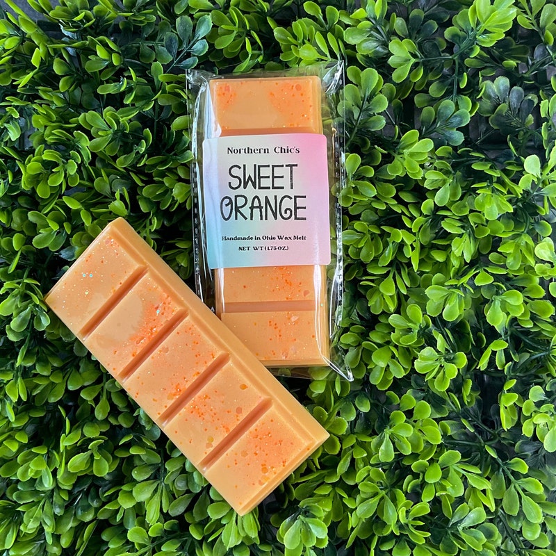 Wax Melts Food Themed - Etsy