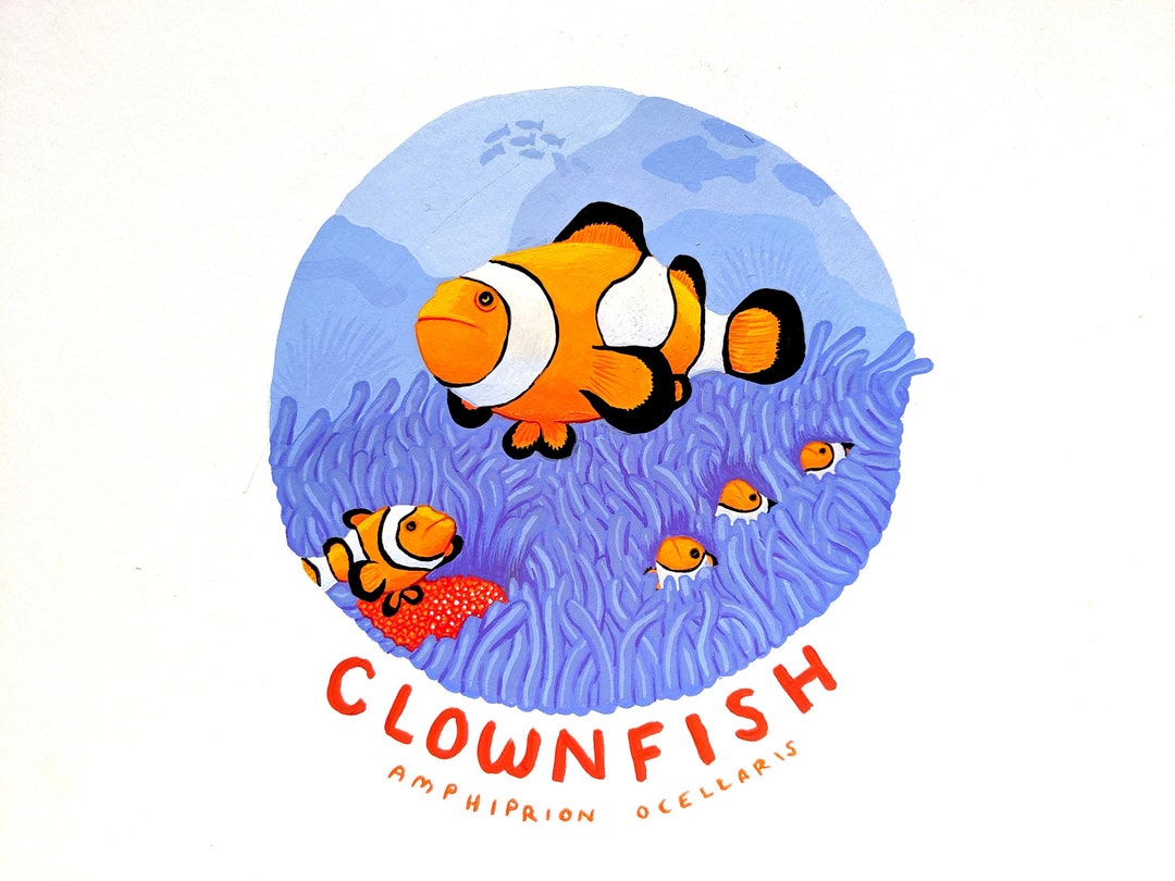 Clownfish Art Print 8x10 - Etsy