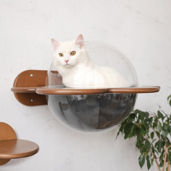 Cat Cave - Etsy