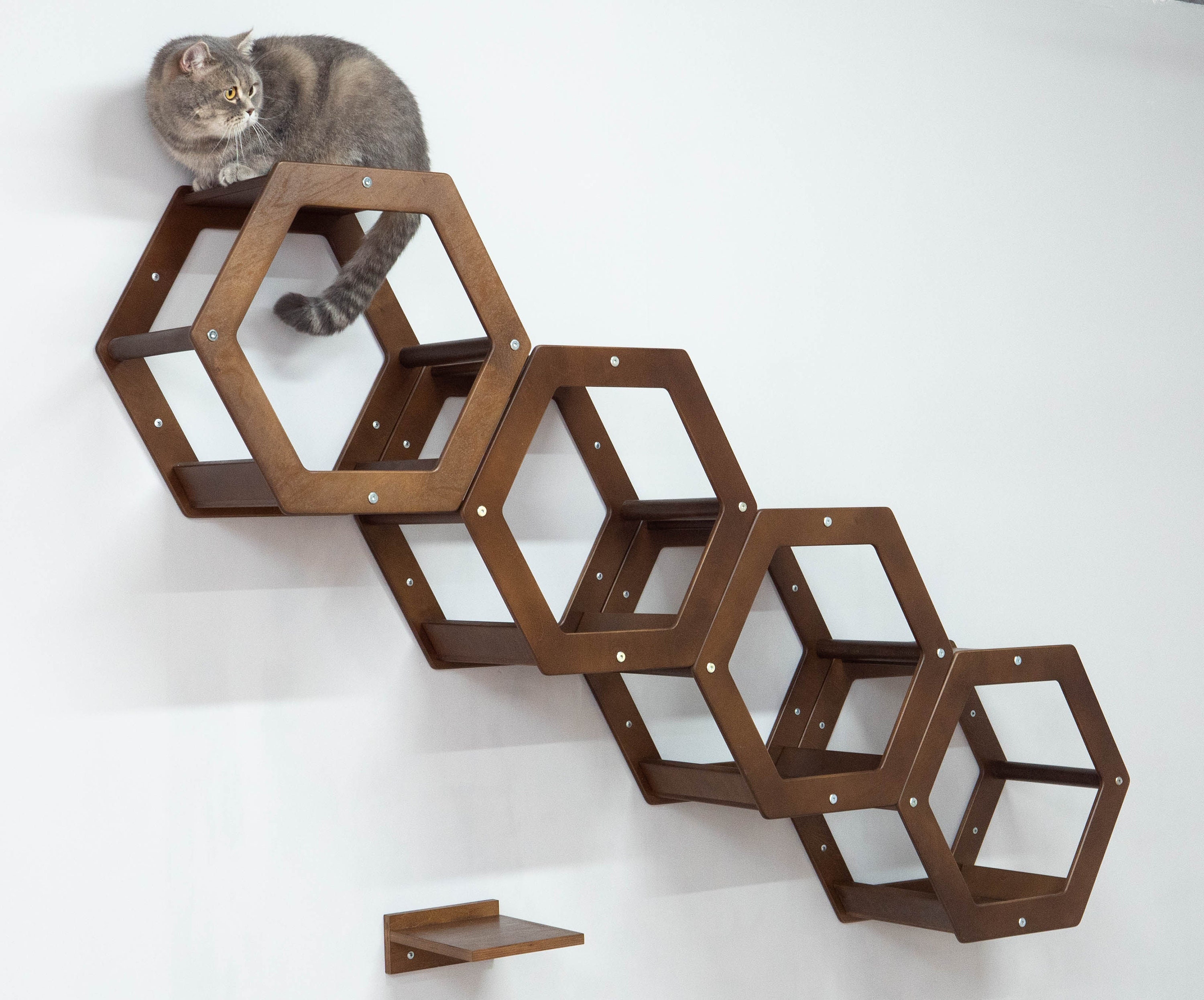 Cat Ladders For The Wall