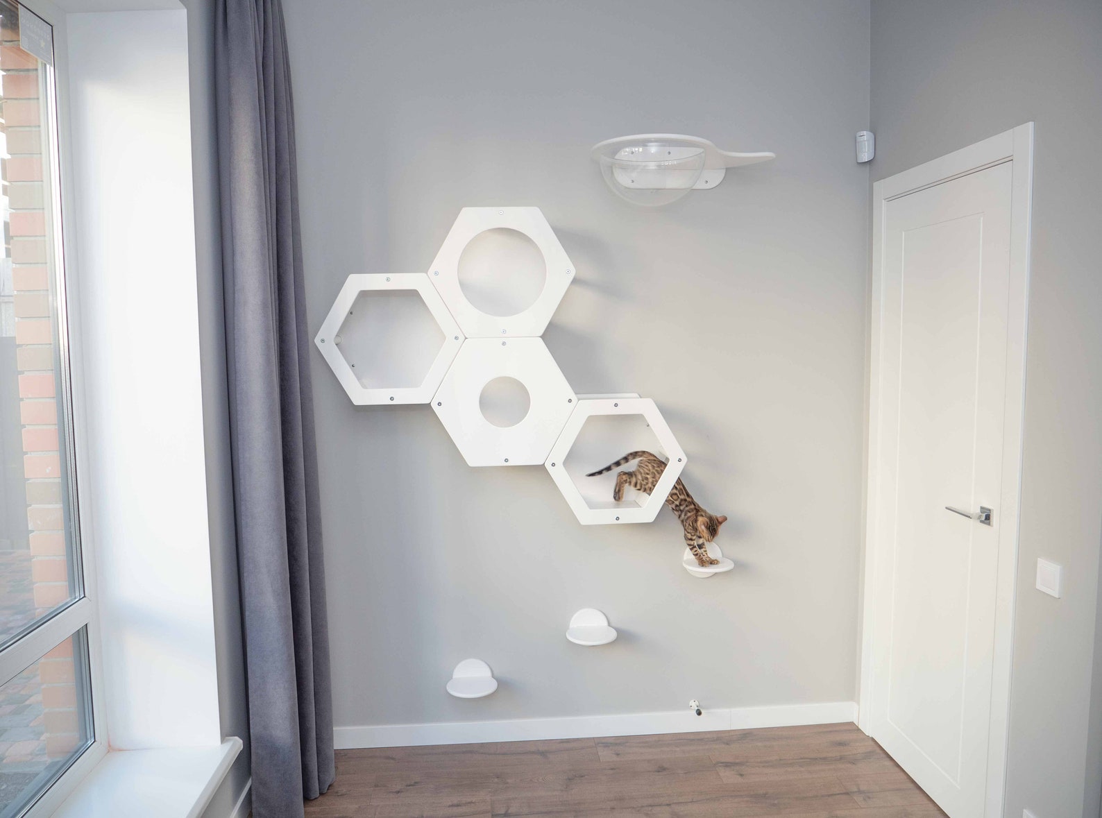 8 Pieces Cat Playground Unique Space for Your Cat Cat Black - Etsy