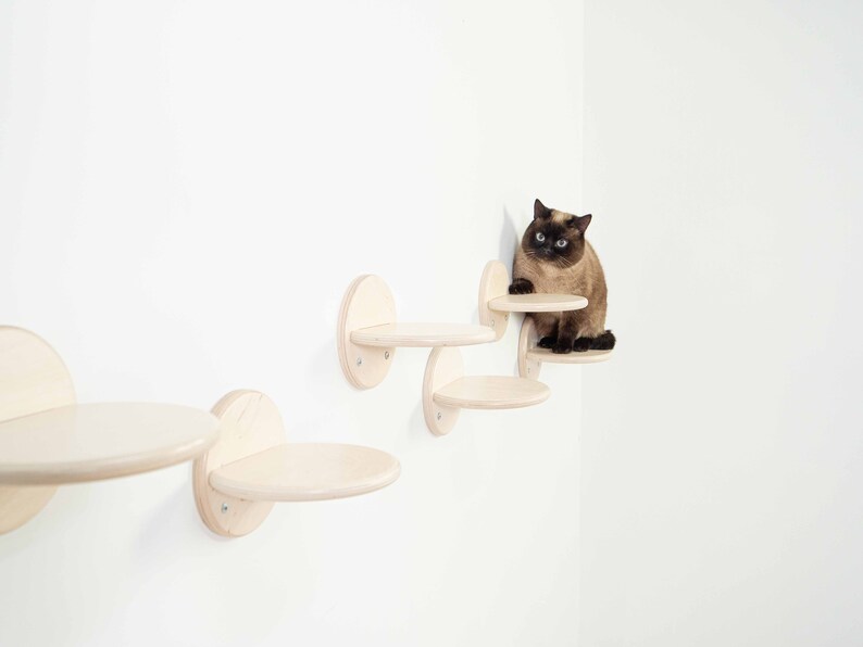 Set of 6 Steps Cat Round Steps Cat Gym Steps Cat Perch Modern - Etsy