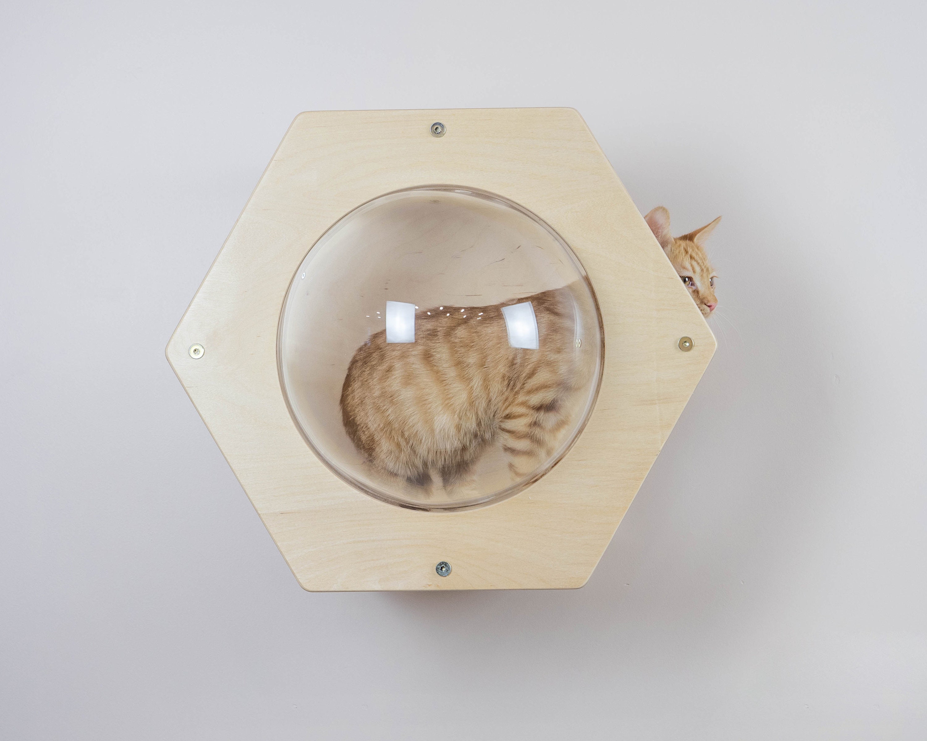 Cat Cabinet Wooden Cat Hexagon With a Panoramic View Cat | Etsy