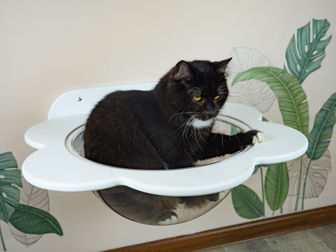 Cat Bubble Bed Flower Cat Hammock Acrylic Shelf Cat Wall Bubble Gift ...