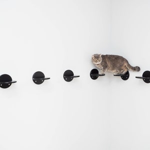 Set of 6 Steps Cat Round Steps Cat Gym Steps Cat Perch Modern - Etsy