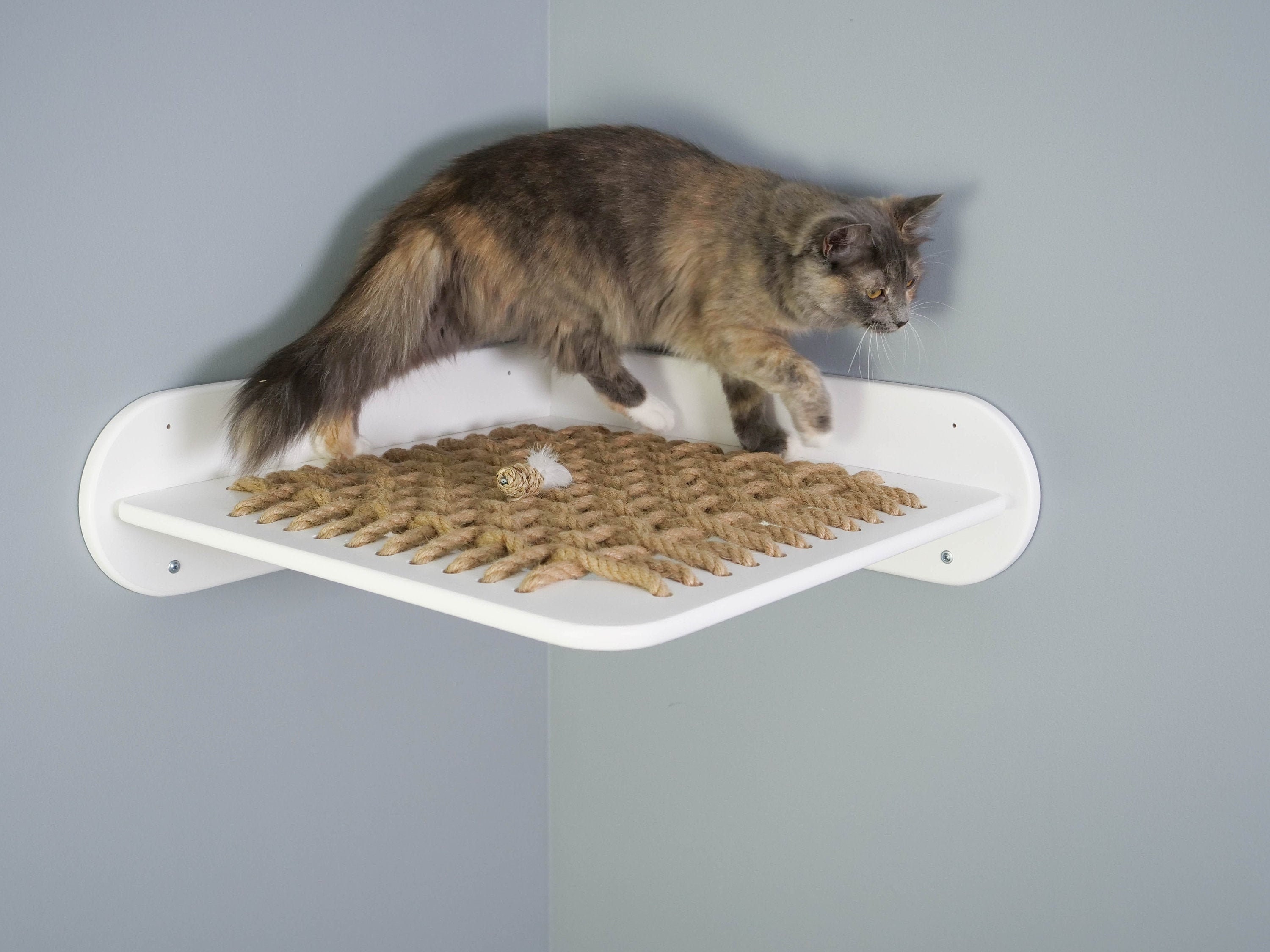 Cat wall bed Wooden pet shelf Cat shelf and bed Cat rope bed | Etsy