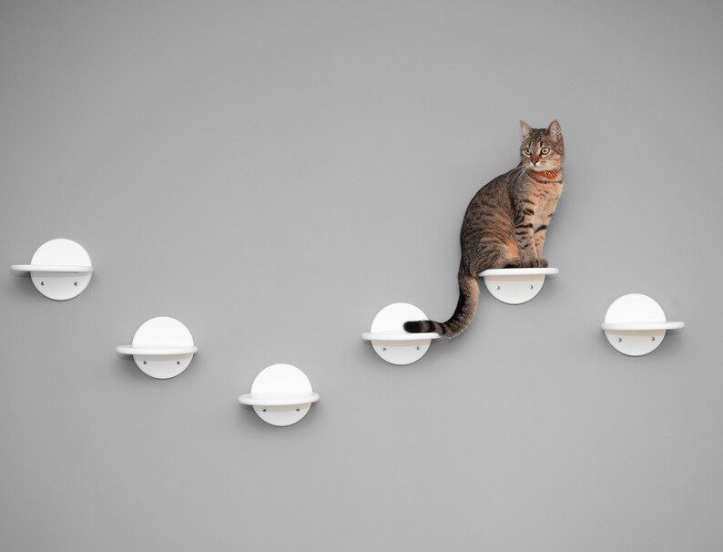 Set of 6 Steps Cat Round Steps Cat Gym Steps Cat Perch Modern - Etsy