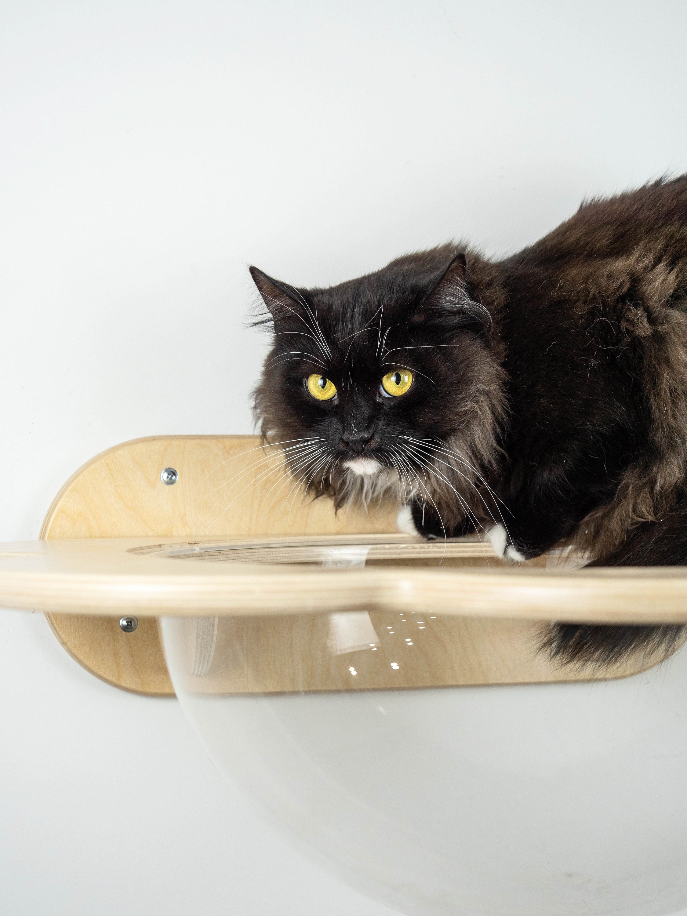Cat Hammock Wall Wall Mounted Cat Bed Cat Shelf Cat Tree Etsy