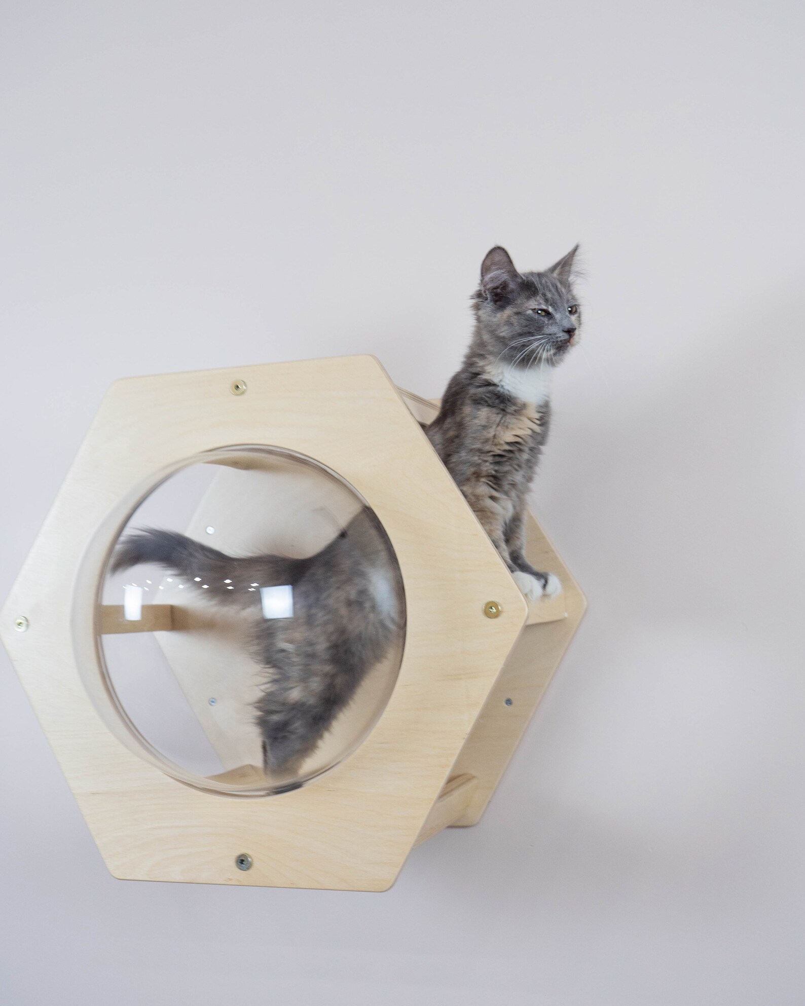 Cat Cabinet Wooden Cat Hexagon With a Panoramic View Cat | Etsy