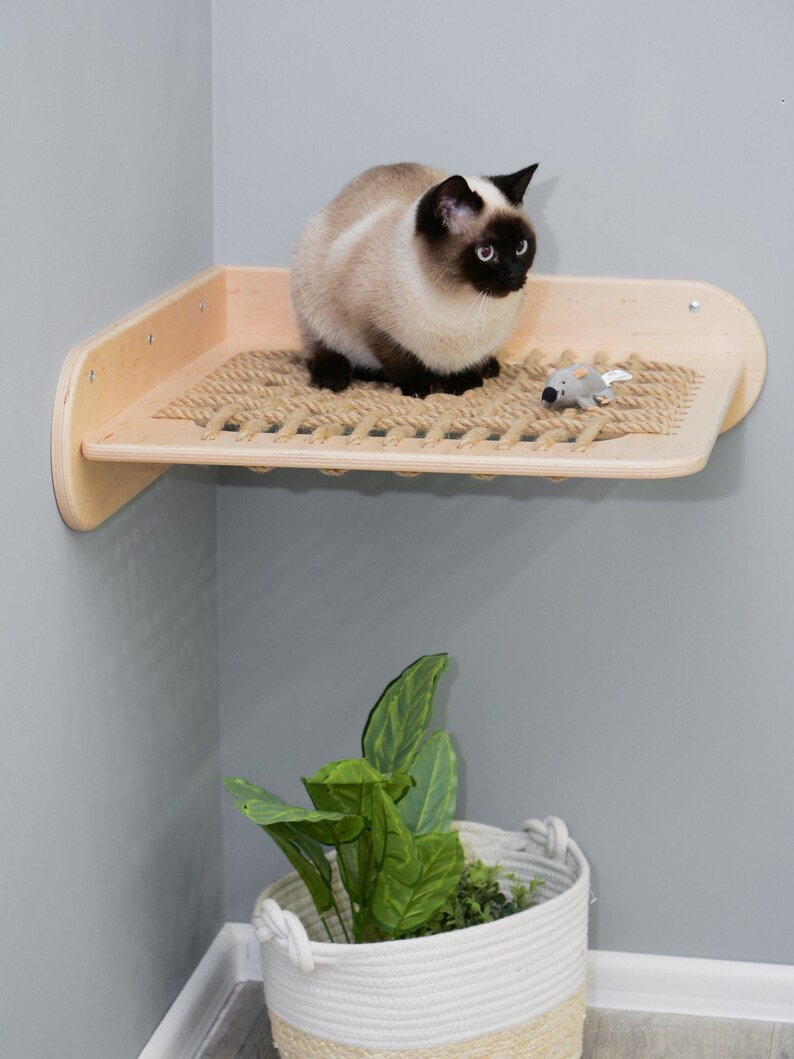 Cat wall bed Wooden pet shelf Cat shelf and bed Cat rope bed | Etsy
