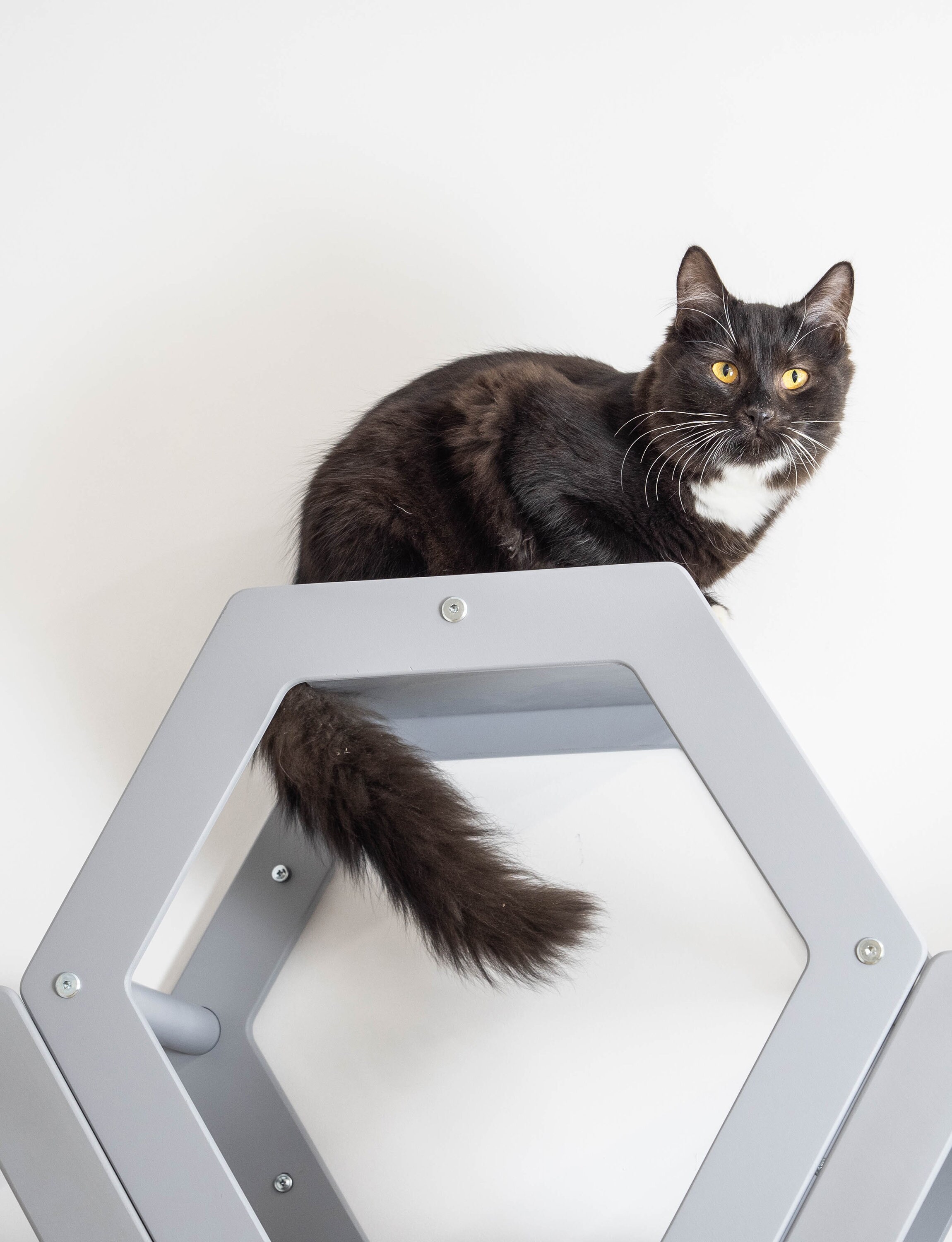 Cat honeycomb shelf Cat hexagon Cat house modern Wooden cat | Etsy