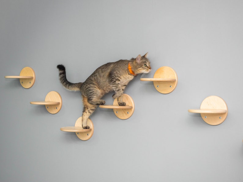Set of 6 Steps Cat Round Steps Cat Gym Steps Cat Perch Modern - Etsy