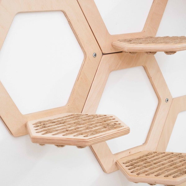 Cat Window Perch - Etsy