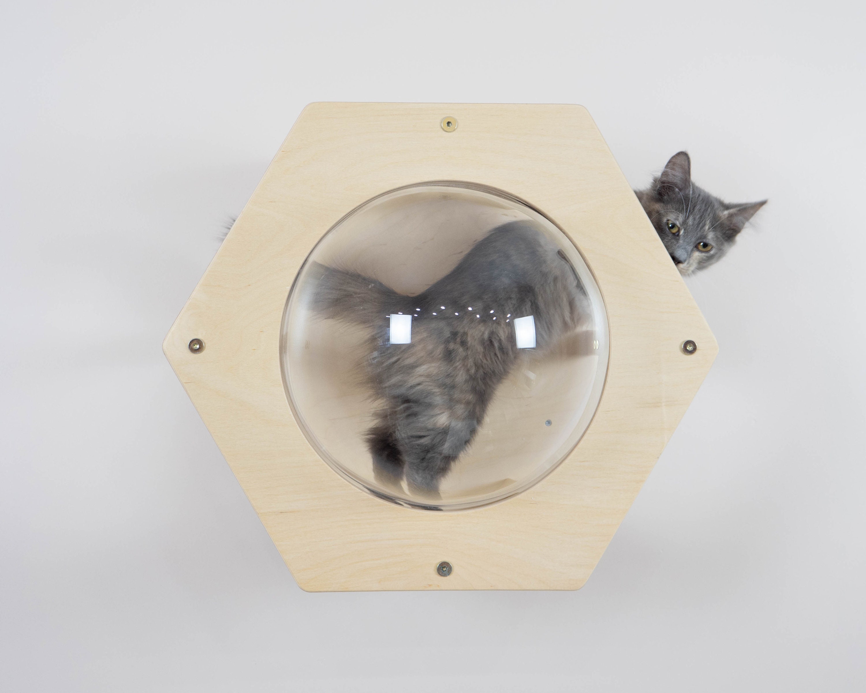 Cat Cabinet Wooden Cat Hexagon With a Panoramic View Cat | Etsy