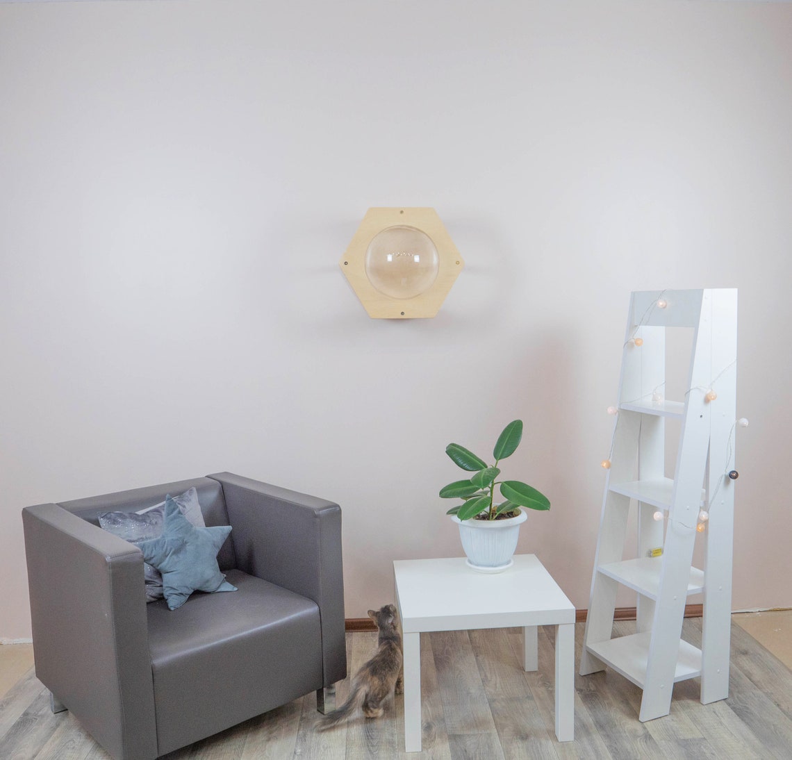 Cat Cabinet Wooden Cat Hexagon With a Panoramic View Cat | Etsy