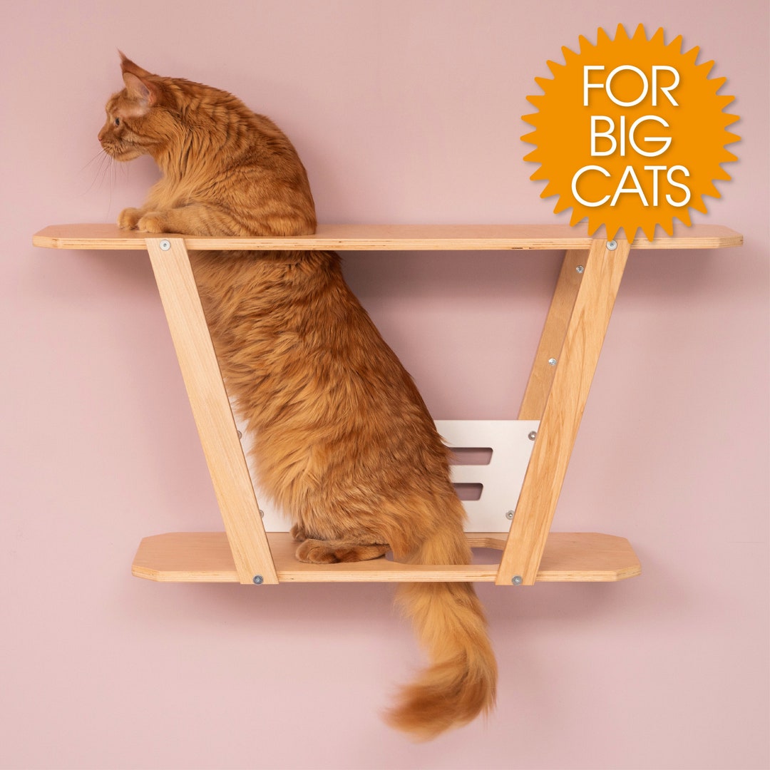 Interactive Climbing Shelf for Large Cats Katzenmöbel Cat Ladder Wall ...