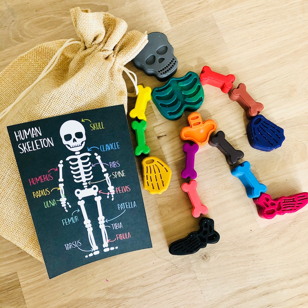 Skeleton Wax Crayon Activity Set - Etsy Ireland
