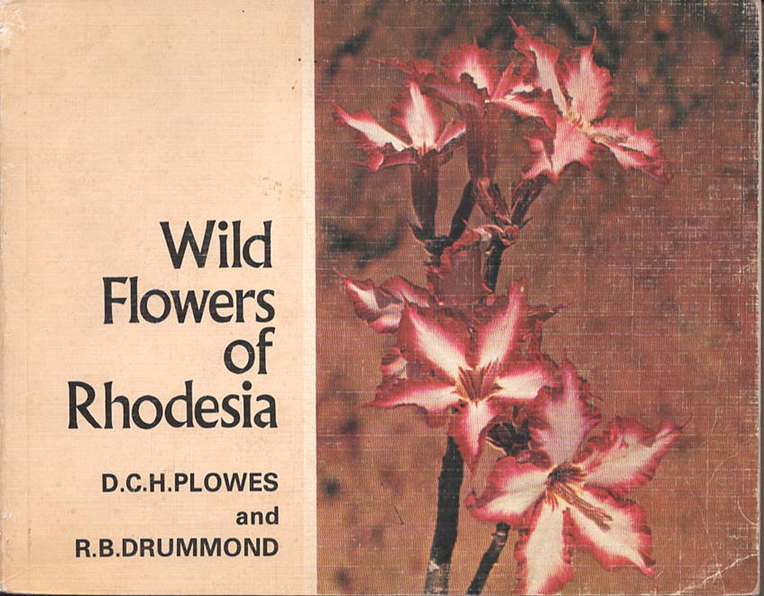 Wild Flowers of zimbabwe - Etsy