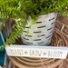 Plant Grow Bloom Sign L Garden Sign L Outdoor Sign L Spring - Etsy