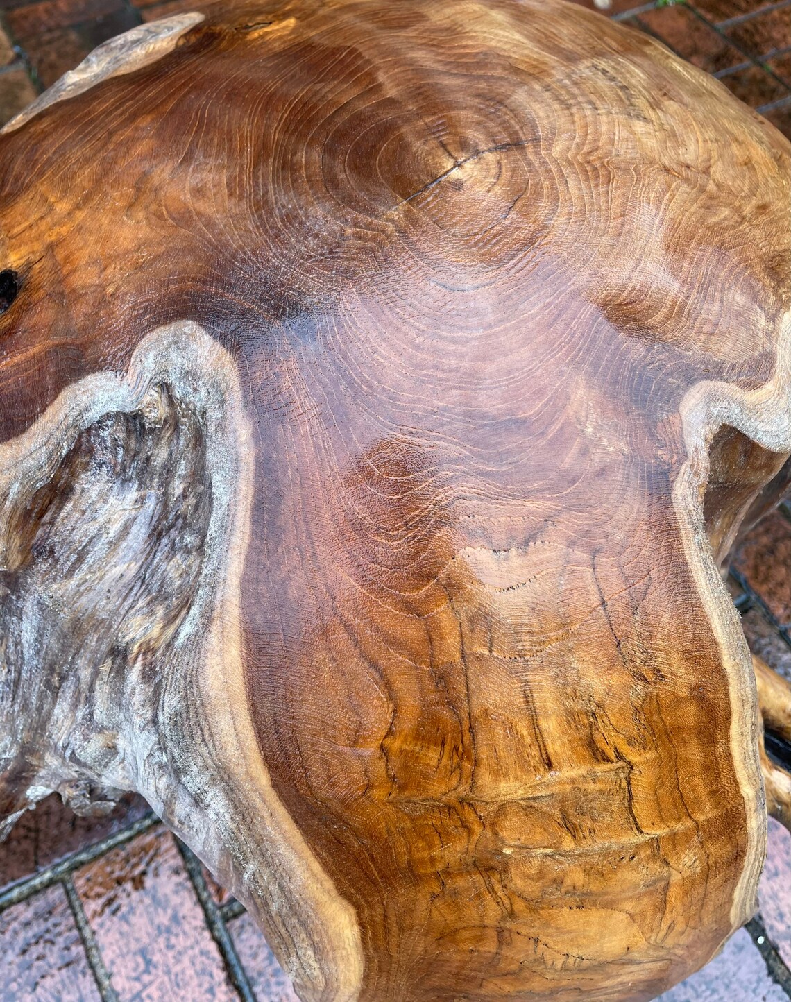 Teak Root Mushroom Teak Driftwood Decor Teak Garden Decor | Etsy