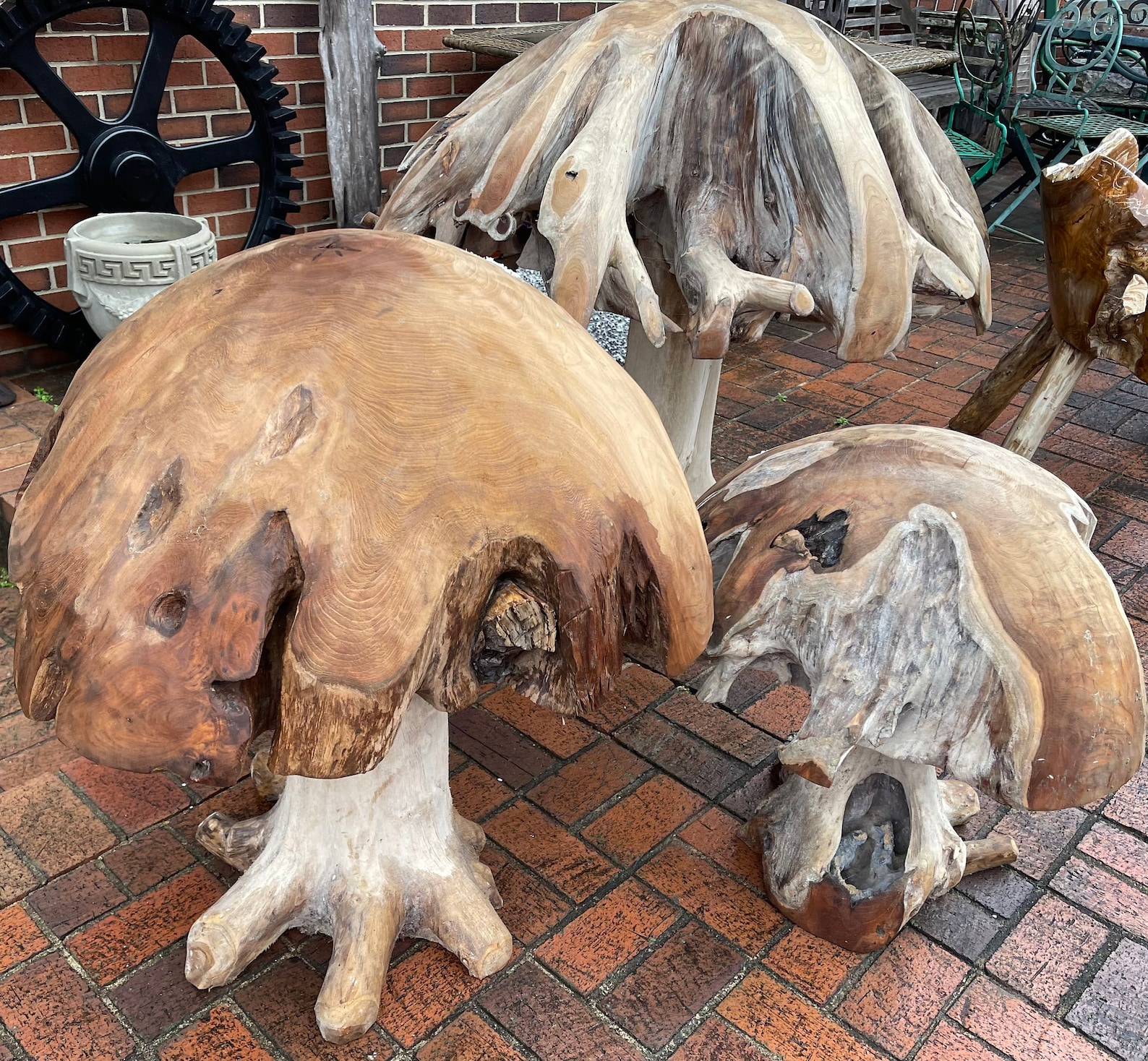 Teak Root Mushroom Teak Driftwood Decor Teak Garden Decor | Etsy