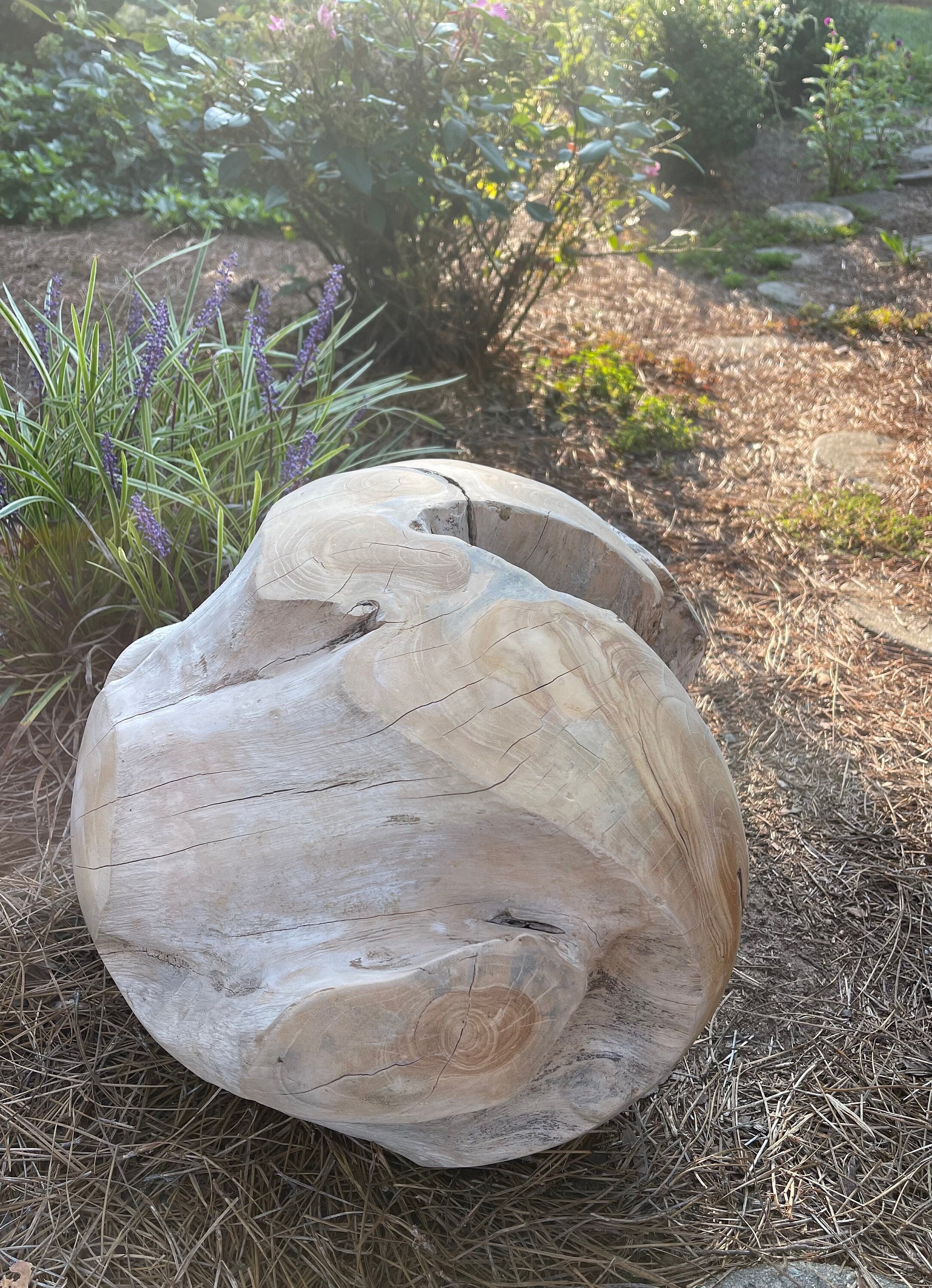 Teak Wood Orb Planter Live Edge Teak Root Planter Natural Teak ...