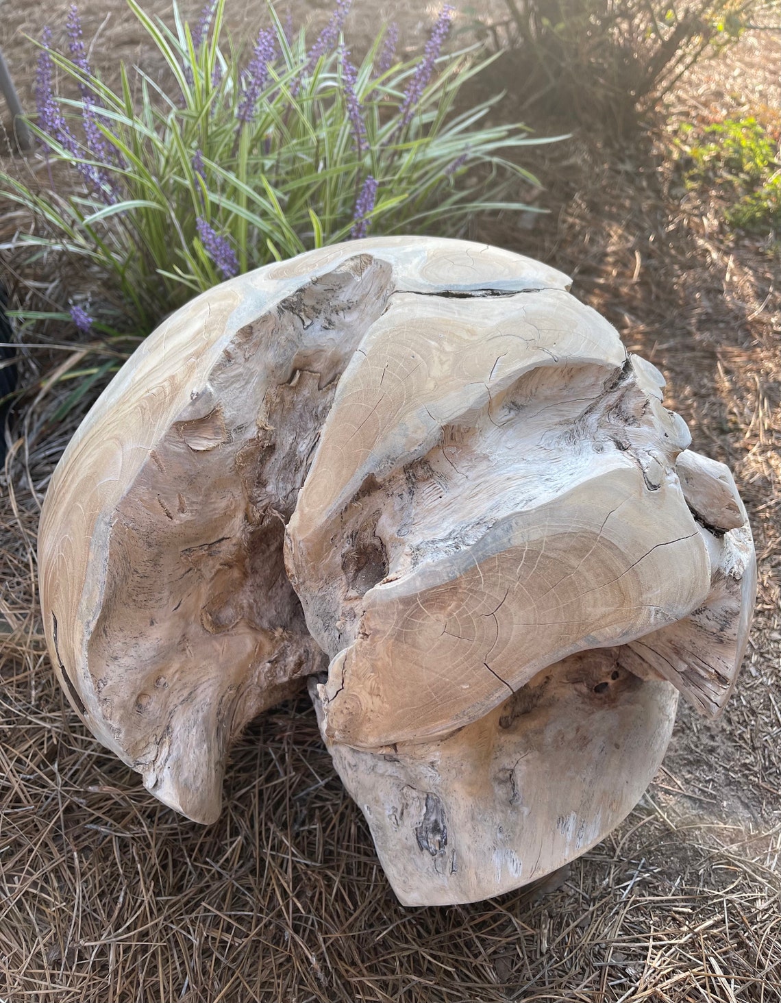 Teak Wood Orb Planter Live Edge Teak Root Planter Natural Teak - Etsy