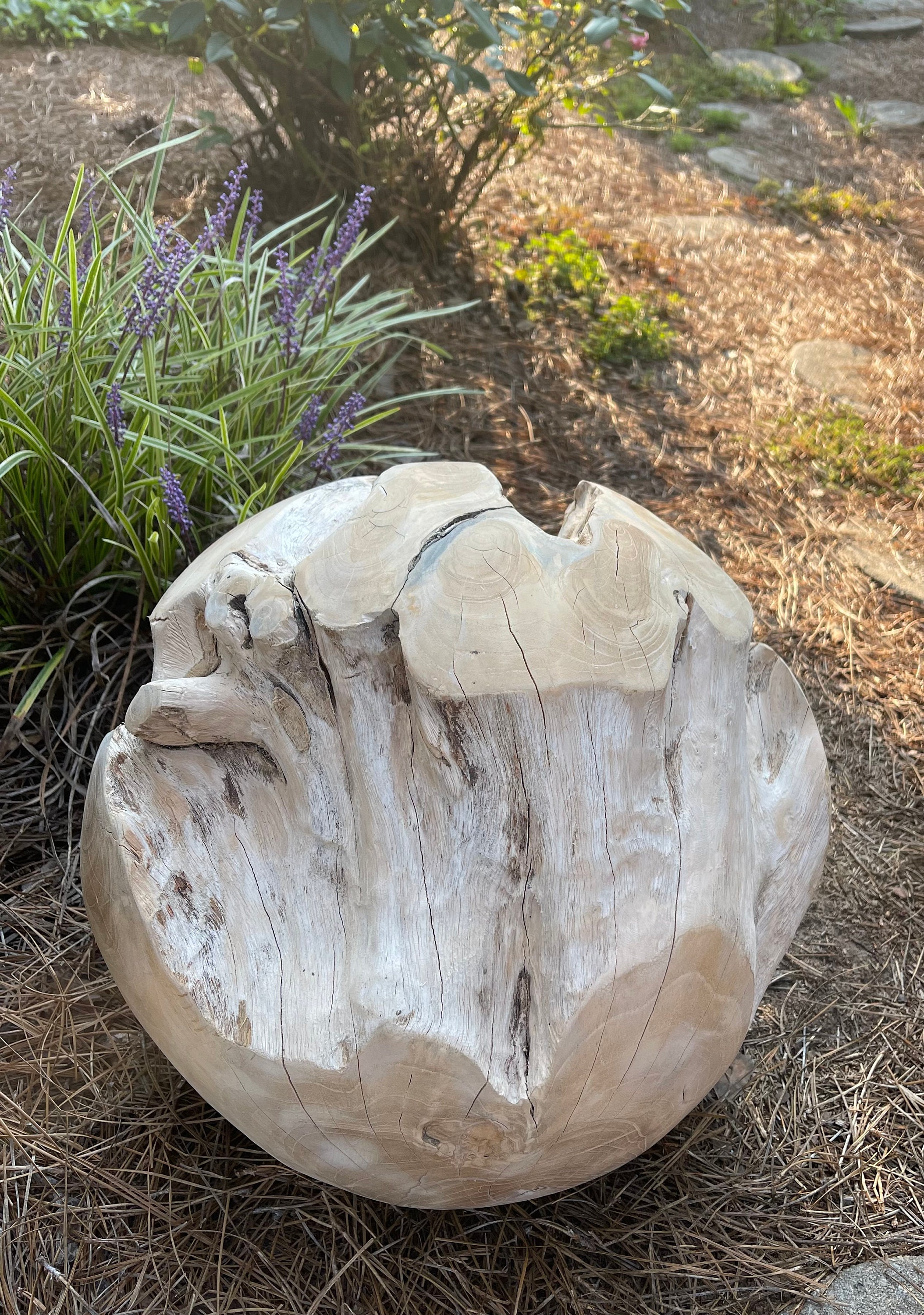 Teak Wood Orb Planter Live Edge Teak Root Planter Natural Teak ...