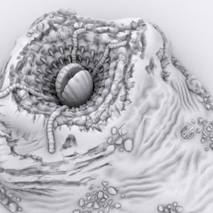 Sarlacc Pit Worm - Legion Compatible Terrain | 3d Printed Scenery ...