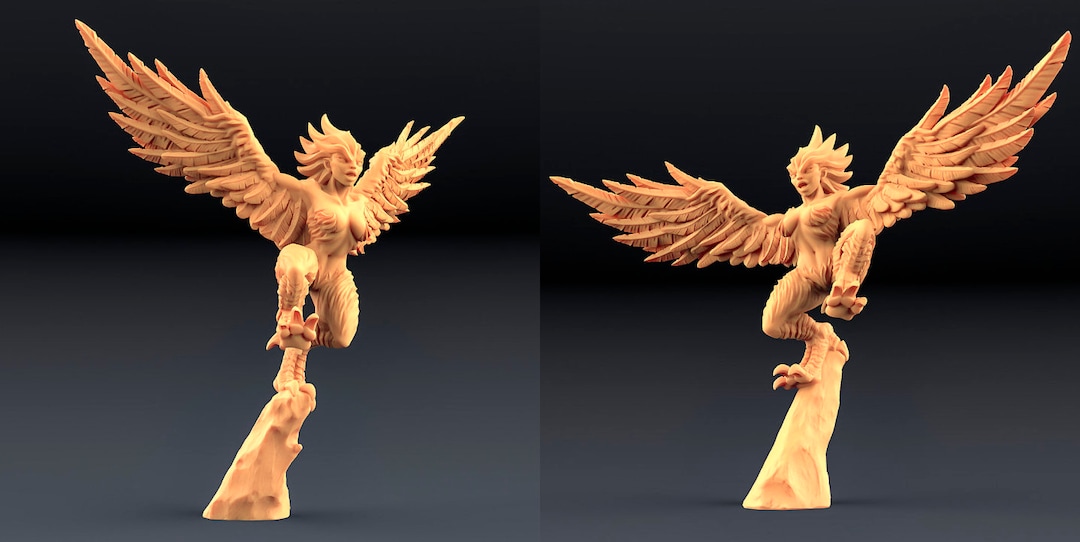 Harpies | AMAZONS Artisan Guild | Dungeons and Dragons | D&D | Dnd ...