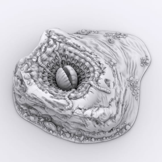 Sand Worm Maw Sarlacc Pit Rampage Gothic Wargaming Sarlac D&D DnD SW ...