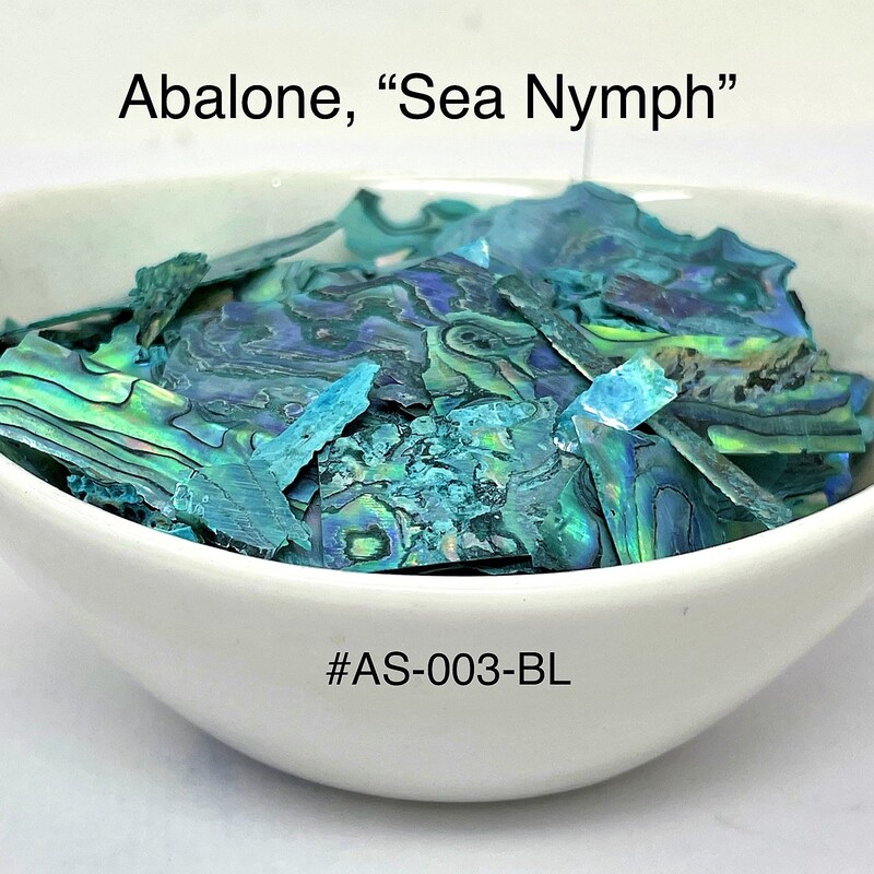 Abalone Shell - Etsy