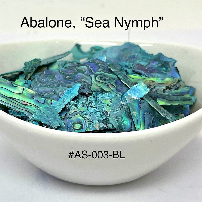 Blue Abalone Shell - Etsy