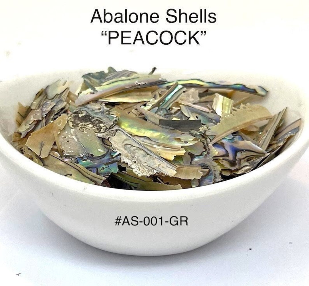 10g, 15g and 25g "peacock" Abalone Shell Pieces (10g in Bag, 15/25g in ...