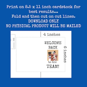 4x6, WELCOME BACK, Team, Coworker, Boss, School, Work Bestie, Mate ...