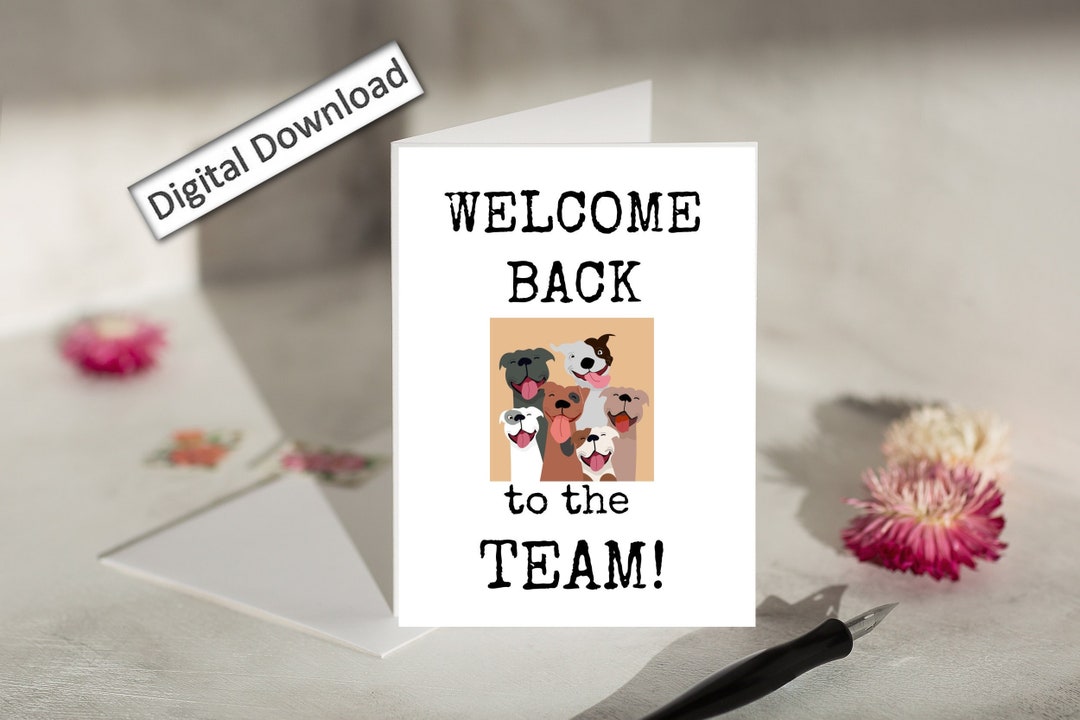 4x6, WELCOME BACK, Team, Coworker, Boss, School, Work Bestie, Mate ...