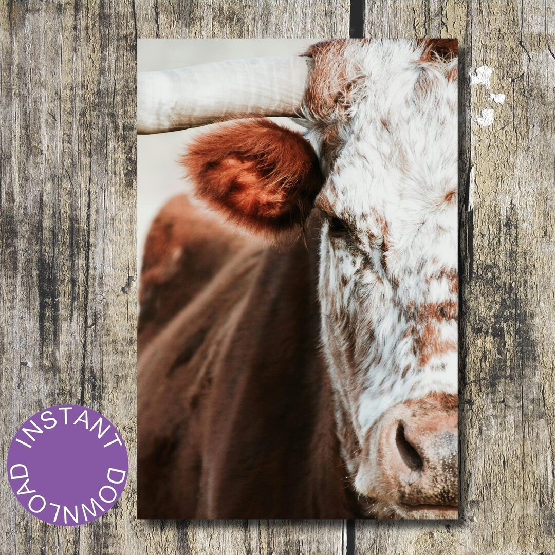 Cow Longhorn Bull Portrait Nature Minimalist Instant Digital Download ...