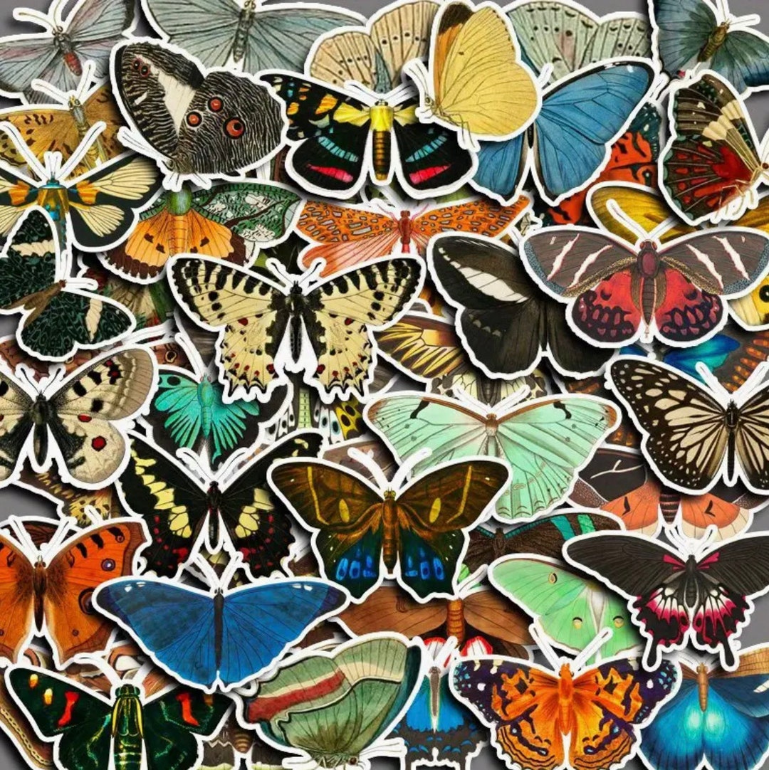Vintage Retro Butterfly Sticker Set Waterproof. Set of 50 Matte ...