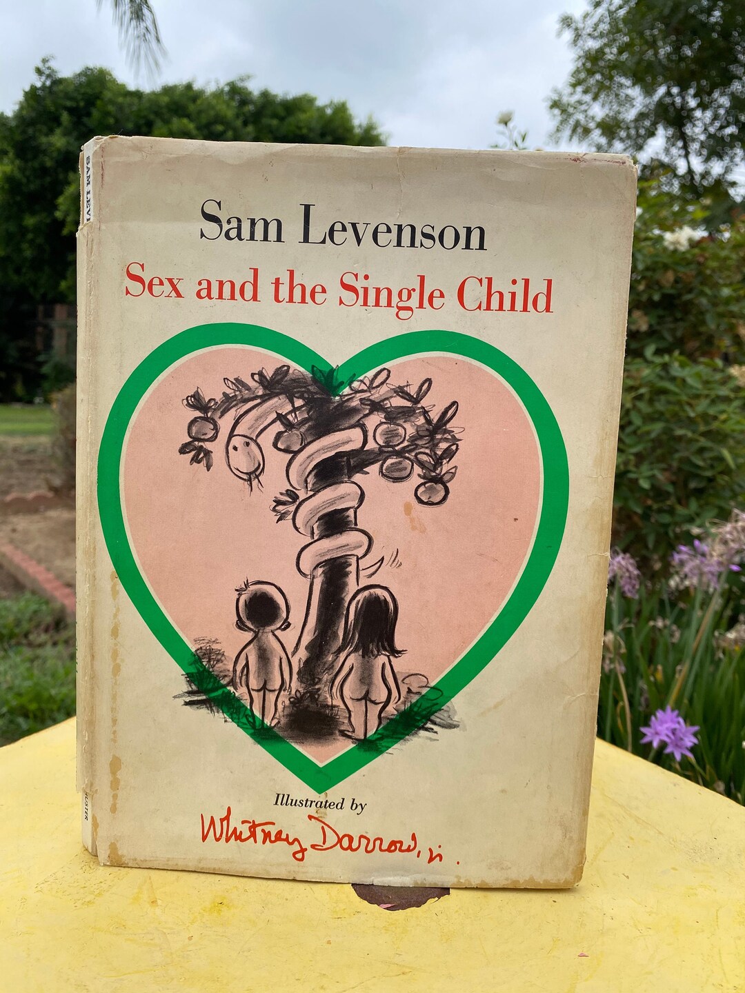 Sex and the Single Child - Sam Levenson, Funny Comic Book, 1960’s Vintage Hardcover - Etsy