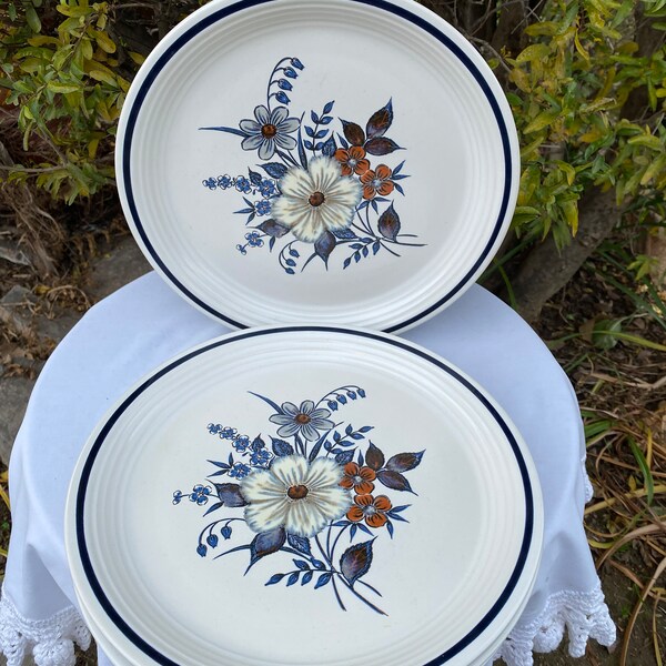 Blue Ridge Plates - Etsy