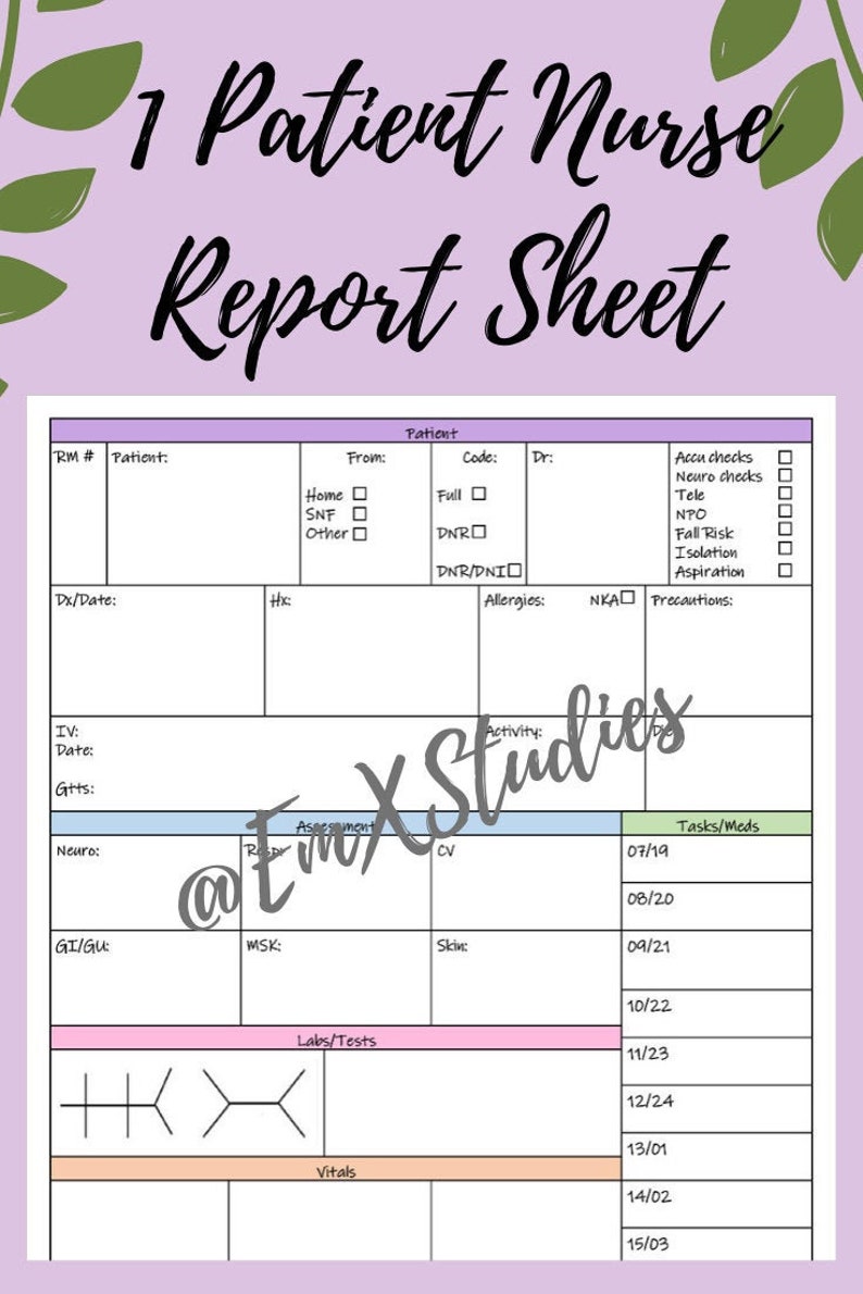 1 Patient Nurse Report Colorful Nurse Brain Sheet Etsy